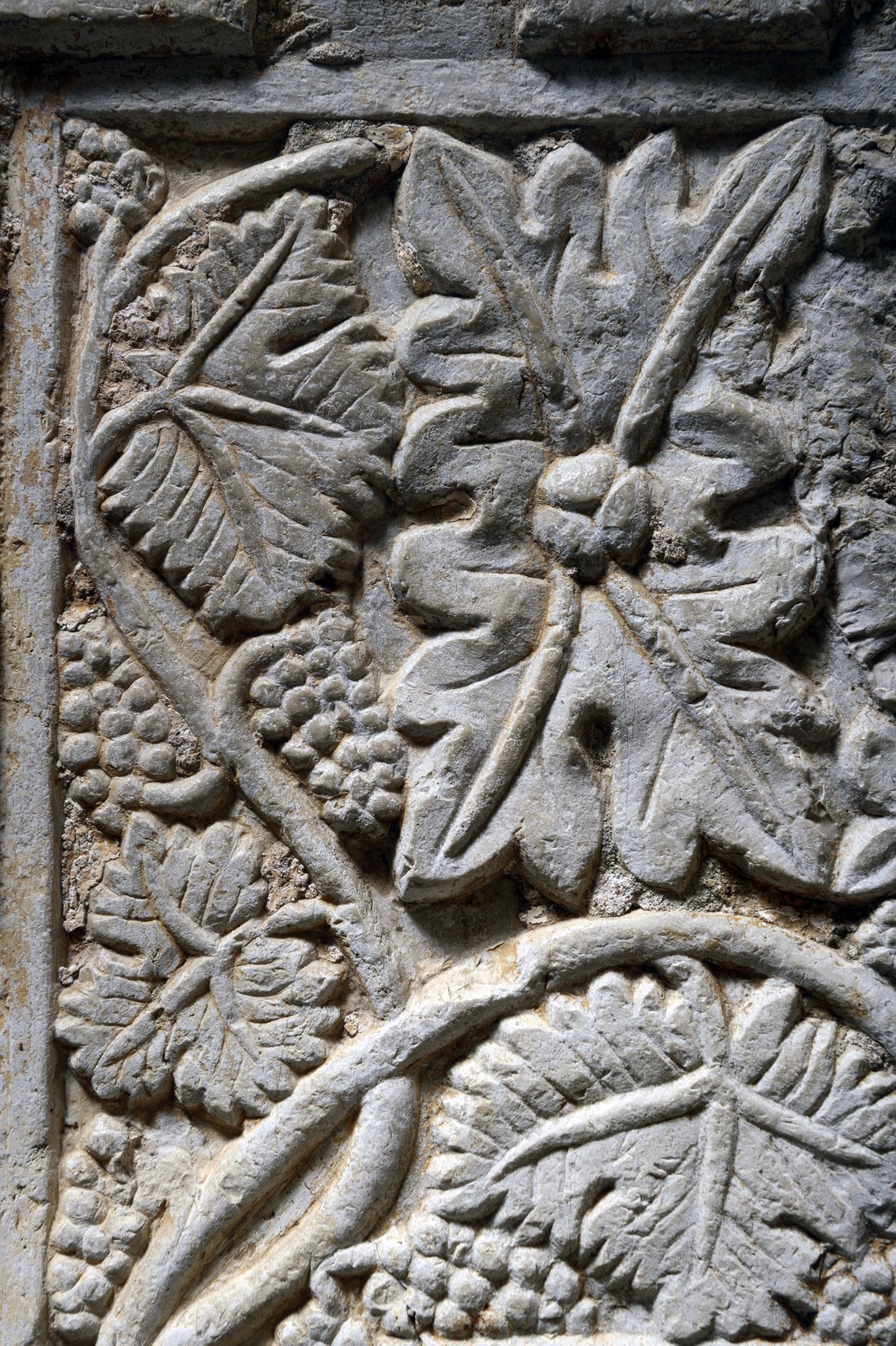 PPMI: Katalog predmeta